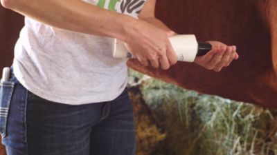 Draw it Out Horse Liniment Topical Pain Relief High Potency Gel, 16 oz ...