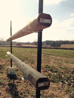 EFL Horizontal T-Post Brackets, 3 in., 25 lb. Capacity, 10-Pack at ...