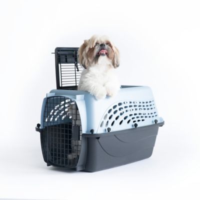 Petmate 2-Door Small Pet Kennel Cab, 24 in., Blue at Tractor Supply Co.