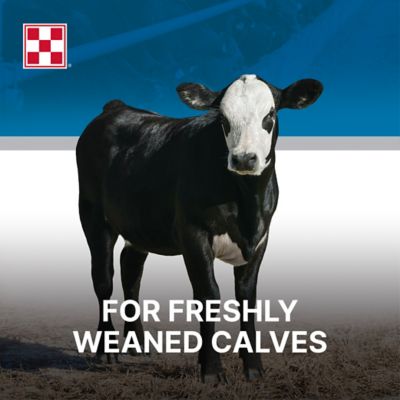 Purina Precon Complete Cattle Starter Calf Medicated DX Feed with RX3, 50 lb. Bag at Tractor ...