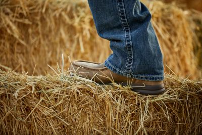 Ariat Men's Spitfire Casual Slip-On Shoes at Tractor Supply Co.