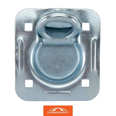 CargoSmart Heavy-Duty Bolt-On Recessed-Mount D-Ring with Back Plate at ...