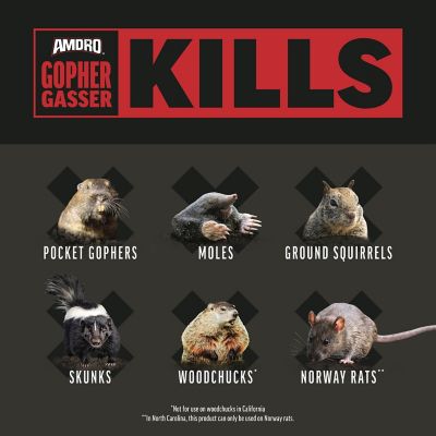 Amdro Gopher Gasser Outdoor Gopher Remover, 6-Pack at Tractor Supply Co.