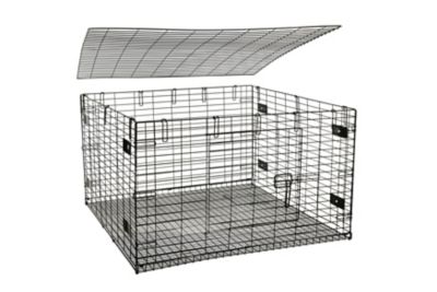 DuMOR Heavy-Duty Rabbit Cage, 30 in. x 30 in. at Tractor Supply Co.