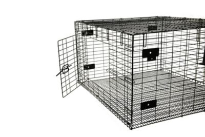 DuMOR Heavy-Duty Rabbit Cage, 30 in. x 30 in. at Tractor Supply Co.