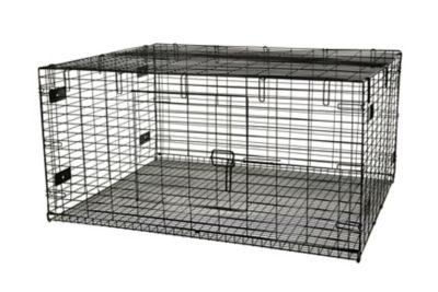 DuMOR Heavy-Duty Rabbit Cage, 36 in. x 30 in. at Tractor Supply Co.