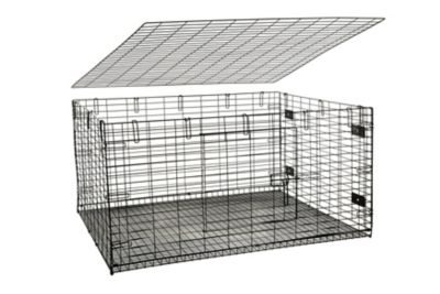 DuMOR Heavy-Duty Rabbit Cage, 36 in. x 30 in. at Tractor Supply Co.