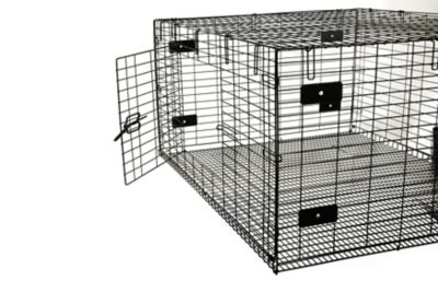 DuMOR Heavy-Duty Rabbit Cage, 36 in. x 30 in. at Tractor Supply Co.