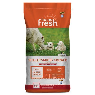 Lamb Feeds at Tractor Supply Co.