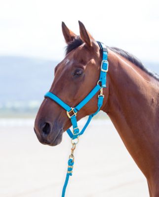 Shires Topaz Nylon Breakaway Horse Halter, Full Size,Blue at Tractor ...