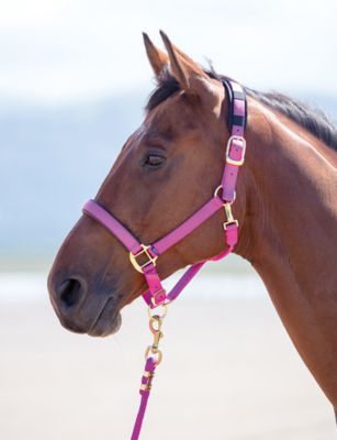 Shires Topaz Nylon Breakaway Horse Halter, Cob,Raspberry at Tractor ...