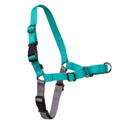 PetSafe Easy Walk No-Pull Dog Harness