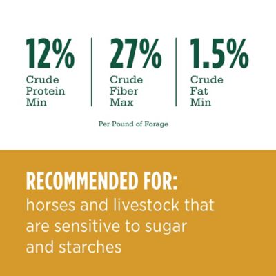 Standlee Premium Western Forage Teff Grass Hay Pellet Horse Feed, 40 lb ...