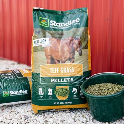 Standlee Premium Western Forage Teff Grass Hay Pellet Horse Feed, 40 lb ...
