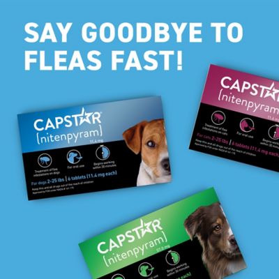 Capstar Flea Control Tablets for Dogs 2-25 lb., 6 ct. at Tractor Supply Co.