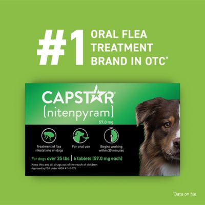 Capstar Flea Control Tablets for Dogs 25 lb. and Up, 6 ct. at Tractor ...
