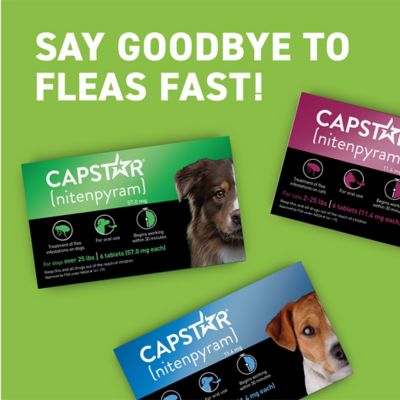 Capstar Flea Control Tablets for Dogs 25 lb. and Up, 6 ct. at Tractor ...