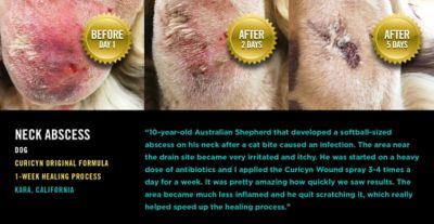 Curicyn Original Formula Pet Wound and Skin Care Treatment for All ...
