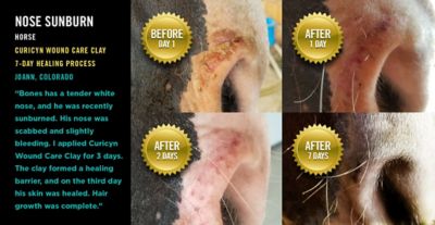 Curicyn Wound Care Clay, 3.2 oz. at Tractor Supply Co.