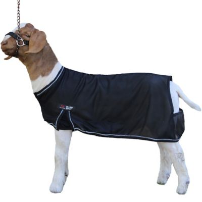 Sullivan Supply Cool Tech Spandex Goat Blankets, XS,Black at Tractor ...