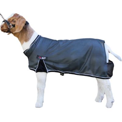 Sullivan Supply Cool Tech Spandex Goat Blankets, S,Gray at Tractor ...
