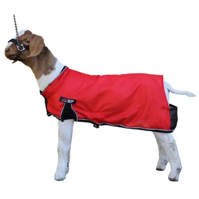 Sullivan Supply Cool Tech Spandex Goat Blankets, M,Red at Tractor Supply Co
