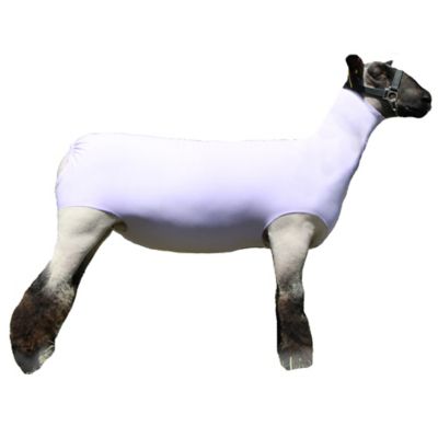 Sullivan Supply Performance Cotton Lamb Tube, M,Lavender at Tractor ...