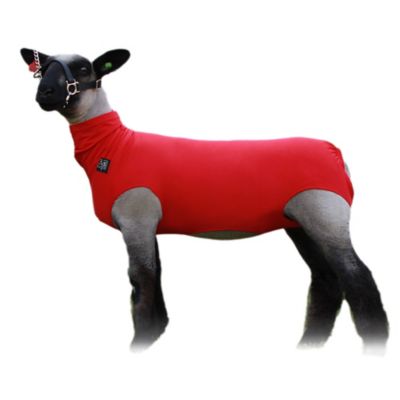 Sullivan Supply Performance Cotton Lamb Tube, M,Red at Tractor Supply Co