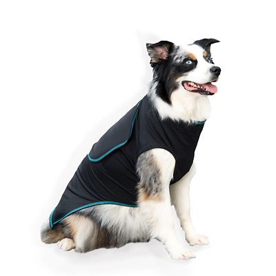 Benefab Canine Comfort and Care Dog Shirt - 1475642 at Tractor Supply Co.