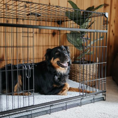 Lucky Dog Whisper Glide Sliding 2-Door Steel Dog Crate, Corner ...