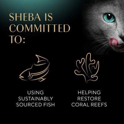 Sheba Perfect Portions All Life Stages Chicken, Tuna and Turkey in ...