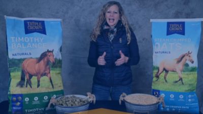 Triple Crown Naturals Timothy Balance Cube Horse Feed, 50 lb. Bag at ...