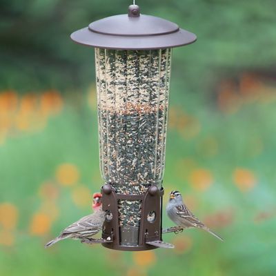 Perky-Pet 4 lb. Squirrel-Proof Bird Feeder with Flexports at Tractor ...