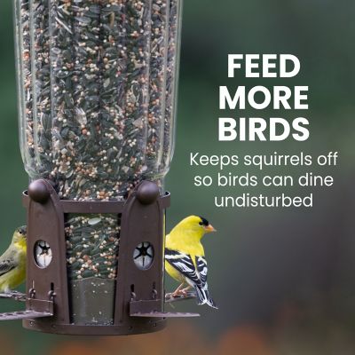 Perky-Pet 4 lb. Squirrel-Proof Bird Feeder with Flexports at Tractor ...