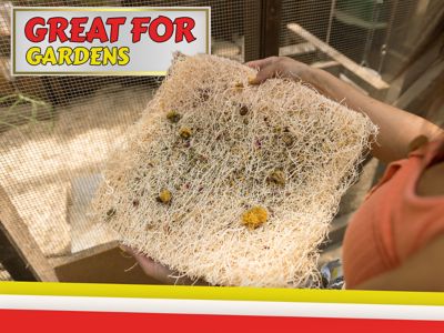 My Favorite Chicken Nesting Pads, 10-Pack