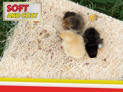 My Favorite Chicken Nesting Pads, 10-Pack