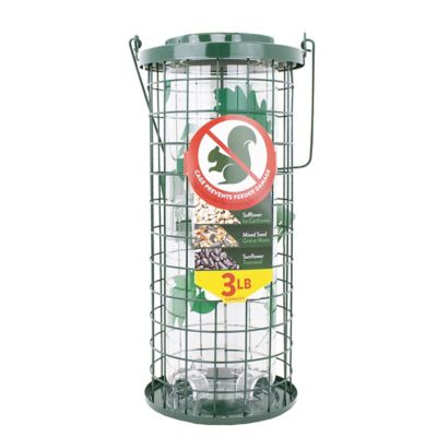 Perky-Pet 3 lb. Squirrel Stumper Bird Feeder, Green