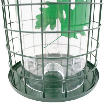 Perky-Pet 3 lb. Squirrel Stumper Bird Feeder, Green