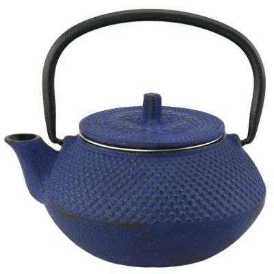Creative Home 40 oz. Cast-Iron Tea Pot with Infuser, Rust at Tractor ...