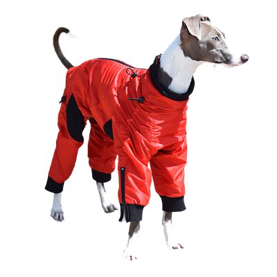 Zippy Dynamics Classy Full Body Dog Suit, 3XL,Red/Black at Tractor ...