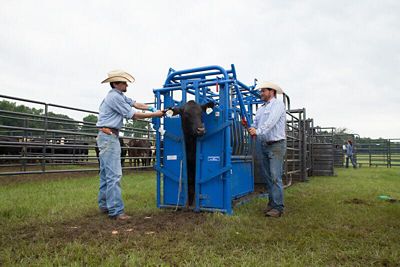 Priefert Heavy-Duty Squeeze Chute at Tractor Supply Co.