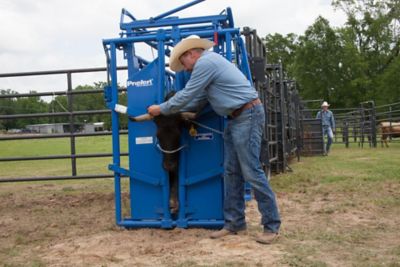 Priefert Economy Squeeze Chute with HG91 at Tractor Supply Co.