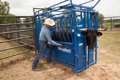 Priefert Economy Squeeze Chute with HG91 at Tractor Supply Co.