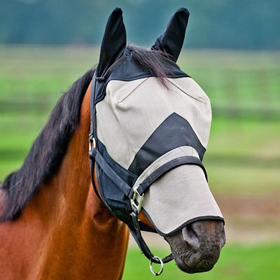 Horze Horse Fly Mask with Long Nose, Horse,Light Brown/Black at Tractor ...