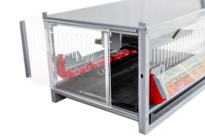 Producer's Pride 200W Heater and 40W Chick Brooder Set for 20 Birds at ...