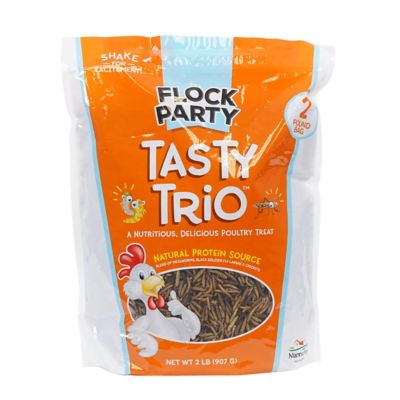 Flock Party Tasty Trio Mix Chicken Treats, 2 lb. at Tractor Supply Co.