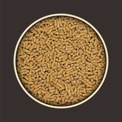 DuMOR Hog Grower Pelleted Hog Feed, 50 lb. Bag at Tractor Supply Co.