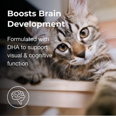 PetAg KMR 2nd Step Kitten Weaning Food Powder, 14 oz. at Tractor Supply Co