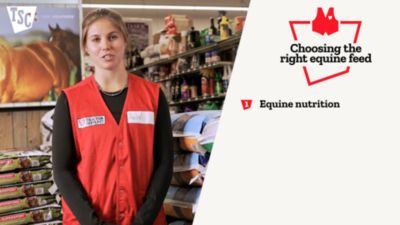 Purina EquiTub with ClariFly Horse Supplement at Tractor Supply Co
