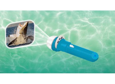 Brainstorm Toys Shark Torch Flashlight and Projector with 24 Shark ...